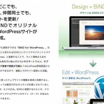 BiNDのWordPressテーマの固定ページは気をつけましょう – BiNDism Blog