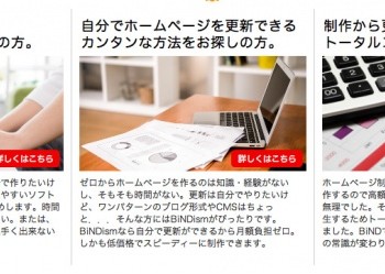 CSS詳細設定で3分割したブロックに縦線を引いてみました – BiNDism Blog