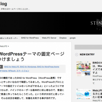 BiNDismのテーマは”BiND SEO WordPress”でいこうと思います！ – BiNDism Blog