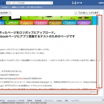 バインドでFacebookページを作成する時の小技！ – BiNDism Blog
