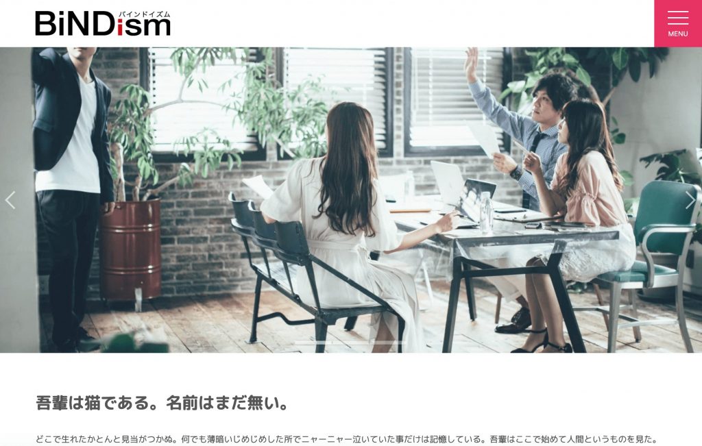 BiNDism Master Note | 運営しながら1年でBiNDをマスターするためのブログ