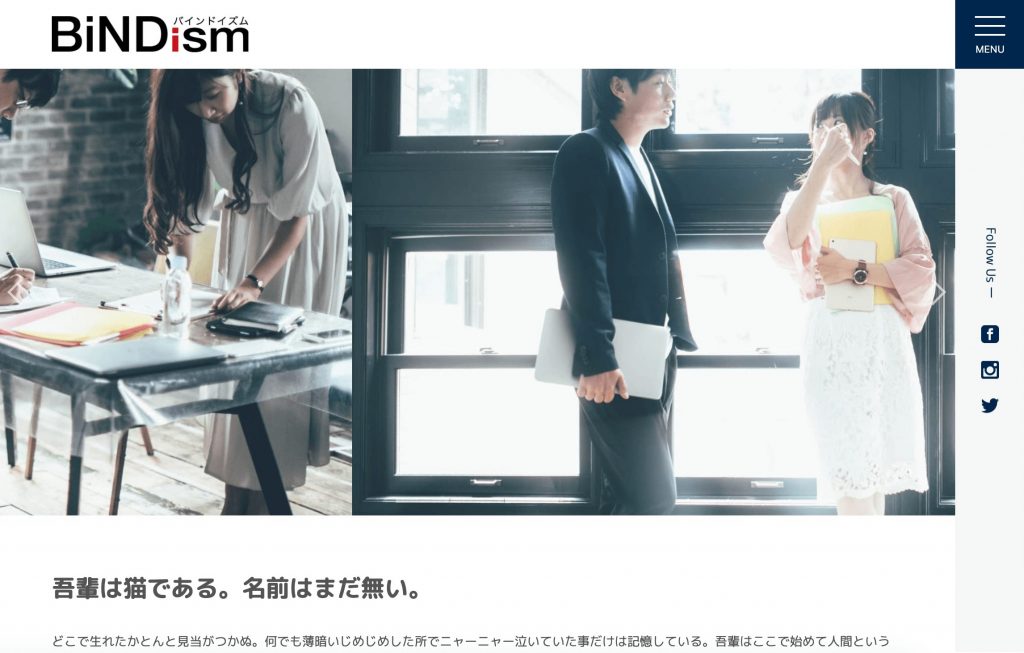 BiNDism Master Note | 運営しながら1年でBiNDをマスターするためのブログ